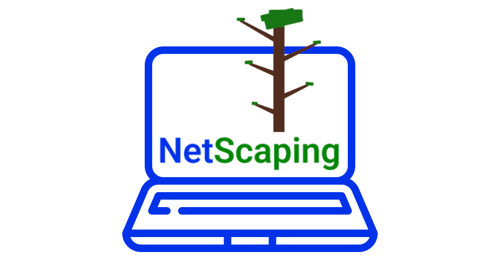 My selected works - Netscaping LLC with Justin Sousa